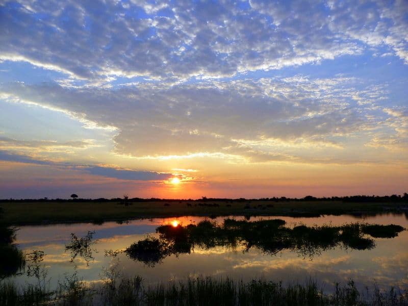 12 Best Places to Visit in Botswana That You Shouldn't Miss!