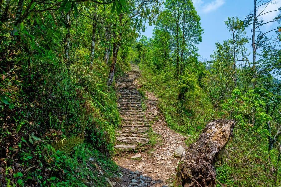 12 Things To Do In Langkawi | Explore The Best Of Langkawi!