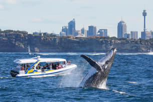 Australia in July - Things to do, Places to Visit & Events 2025