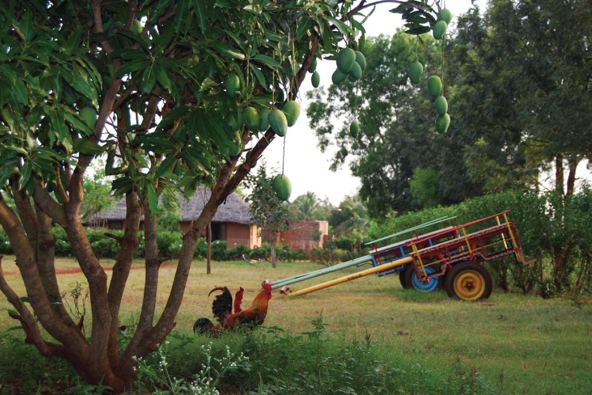 Our Native Village Resort Day Out | Book & Get 28% OFF!