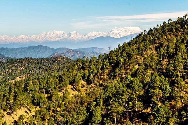 1 Places to Visit in Binsar, Tourist Places & Top Attractions