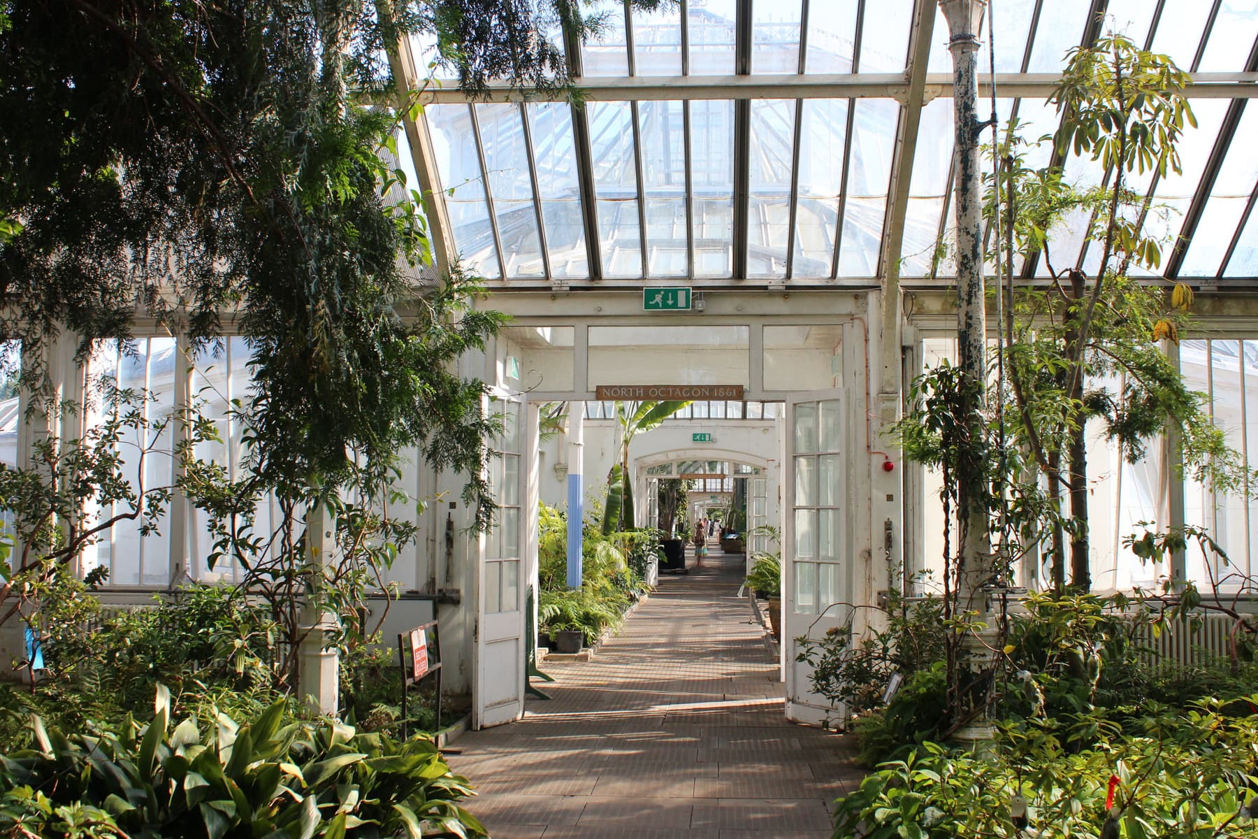 Kew Gardens Temperate House | Witness Rare & Exotic Plants!