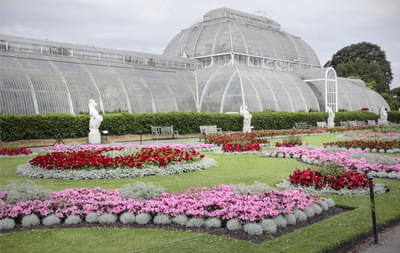 Kew Gardens Flowers | See The Diverse Collection Of Flora