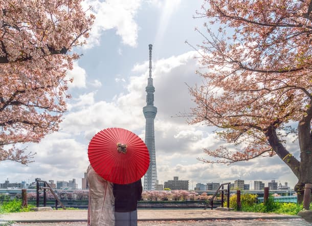 Spring in Japan 2026: Your Ultimate Guide to Cherry Blossoms