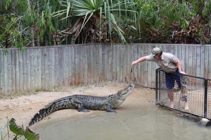 Hartleys Crocodile Adventures | Explore the Australian Wildlife