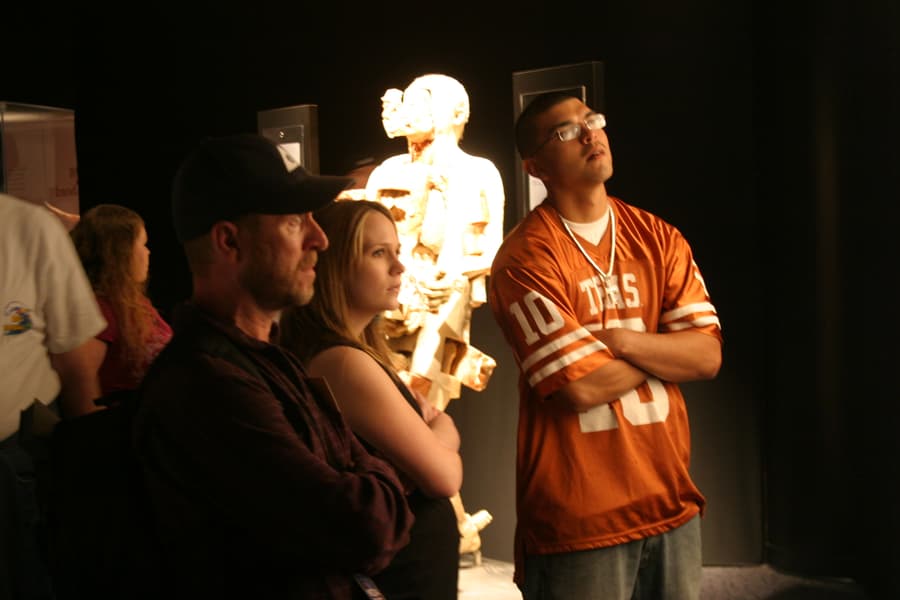 Human Body Exhibition Barcelona: The Ultimate Guide