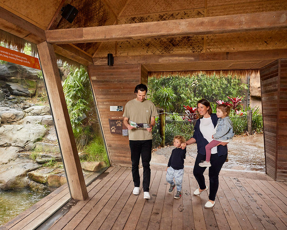 Taronga Zoo and Sydney Harbour Ferry Tickets