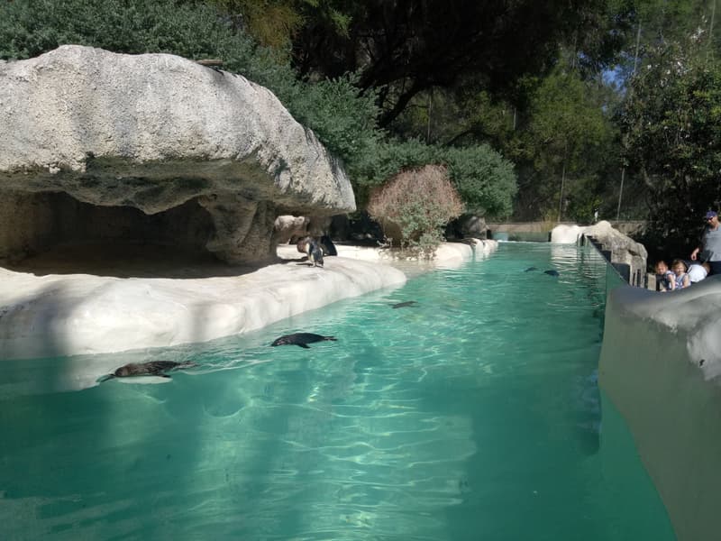 Perth Zoo Tickets | Enjoy The Close Encounter With Wild Animals