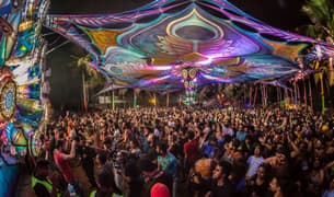 30 Best Pubs & Clubs in Goa for Night Owls (Price & Timings)
