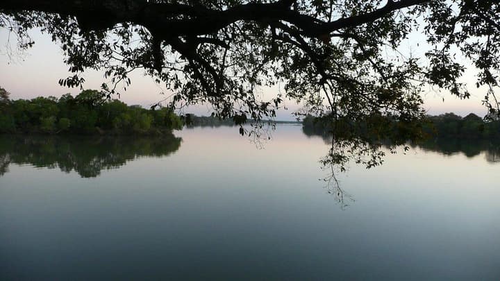 Kafue National Park, Zambia | Know Everything Before You Go!
