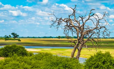 12 Best Places to Visit in Botswana That You Shouldn't Miss!