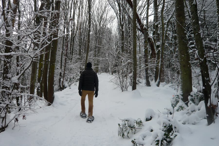 Interlaken in November: Embracing Winter's Arrival and Delights