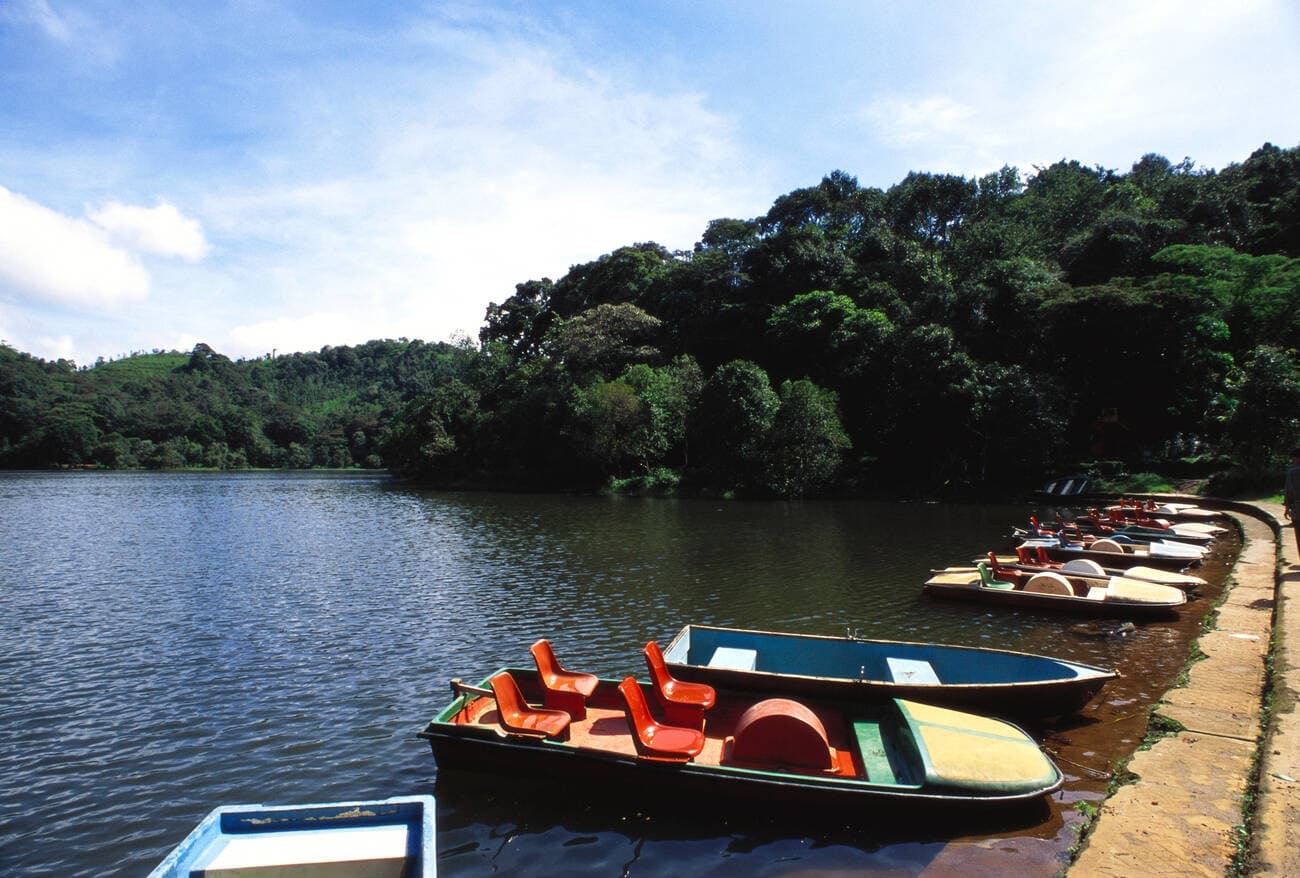 Best of Coorg & Wayanad | Misty Meadows and Scenic Trails