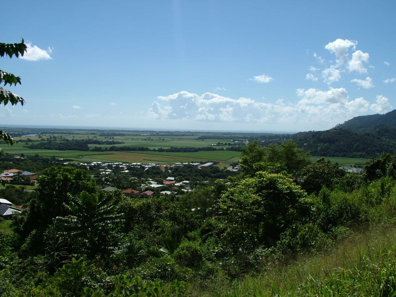 Kuranda Scenic Railway | Explore The Beauty Of Mountains