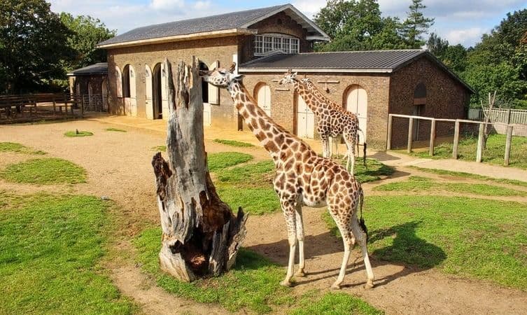 London In April: Checkout The Best Things To Do In London