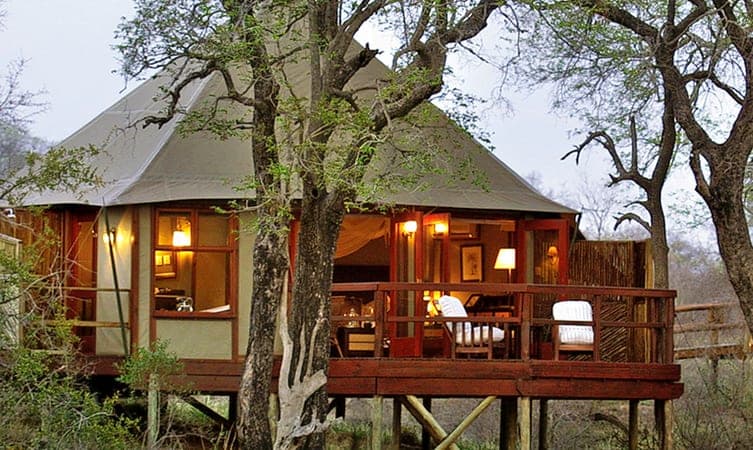 Kruger National Park, South Africa | Perfect Guide For Travellers