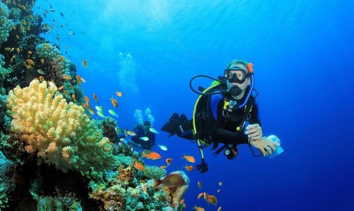 6 Places To Go Scuba Diving In London
