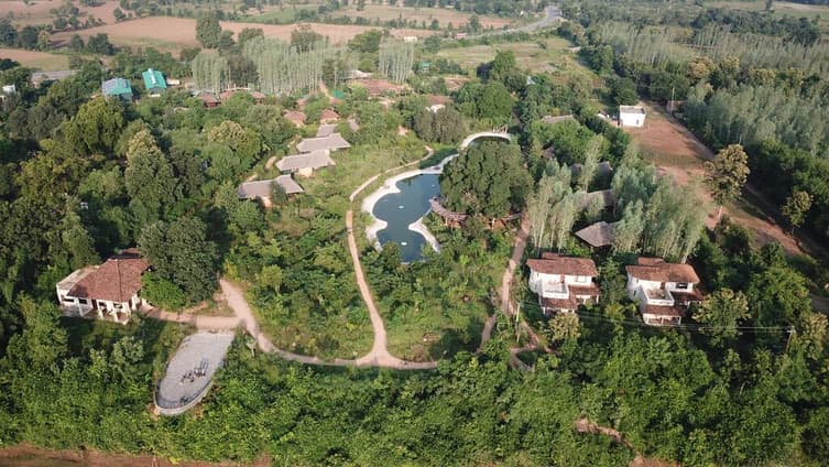 5 Best Resorts in Panna National Park - With Comforts of the Wild!